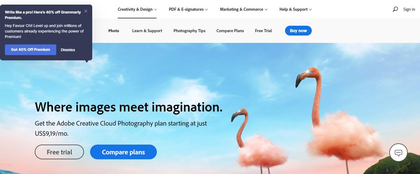 21 Best Drawing Software For Beginners (Free and Paid Tools)